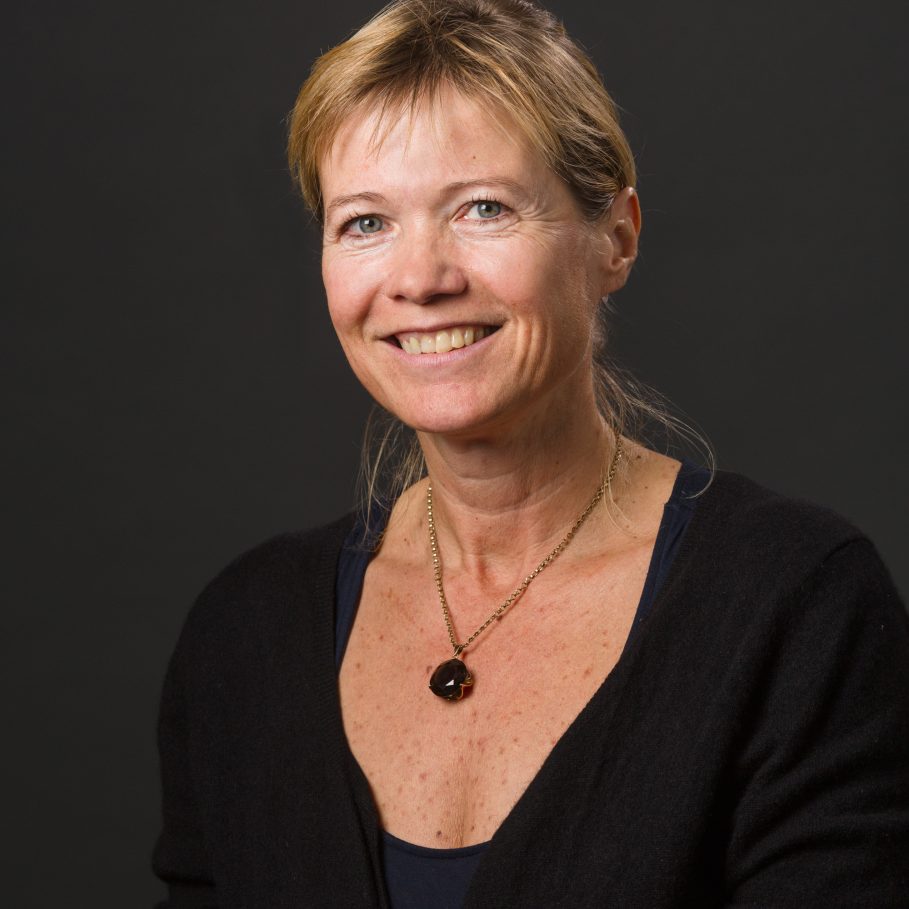 Scientific Grand Prize - Fondation Lefoulon-Delalande